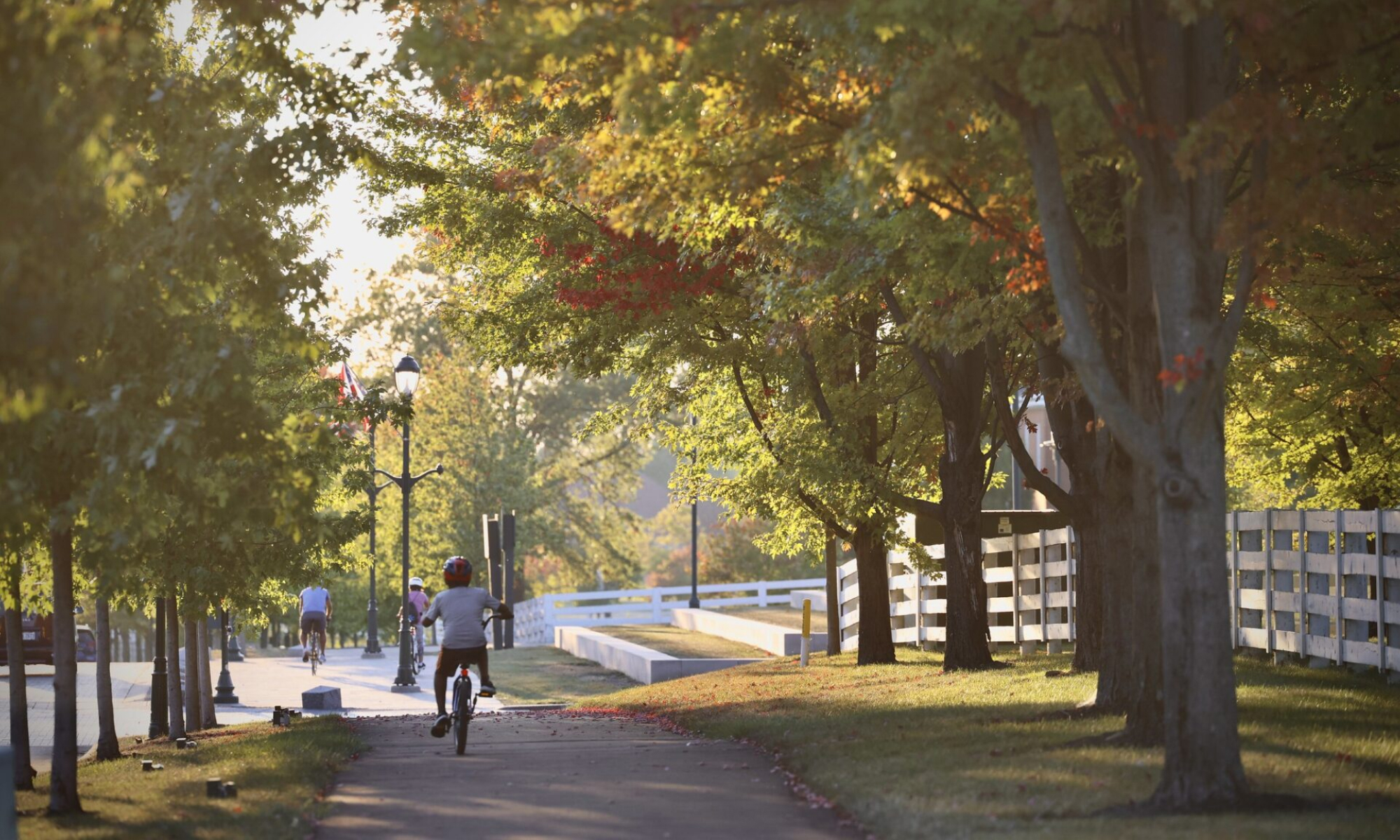City of New Albany Website Redesign - Buckeye Innovation